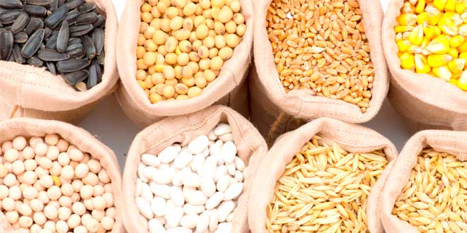 Aliments riches en Picolinate de Chrome