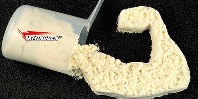 Aminogen, une enzyme brevetée.