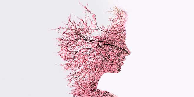 Les Meilleures Herbes pour la Mémoire 【Blog HSN】