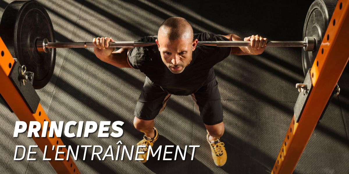 Principes de l'entraînement: Les découvrir pour progresser