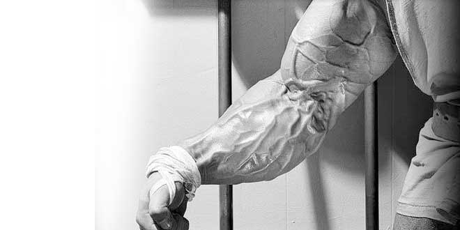 Exercices pour Avant-bras: Améliorez Votre Force