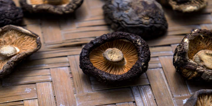Champignon Shiitake - Renforce votre Système Immunitaire