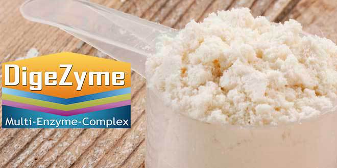 DigeZyme ®, un complexe enzymatique breveté - HSNblog