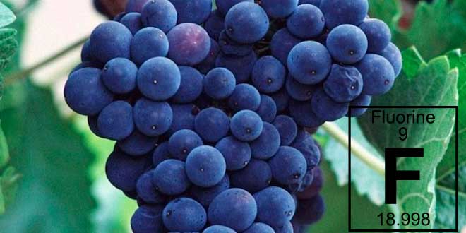 Minéraux: Blog Fitness, Nutrition, Santé | HSN