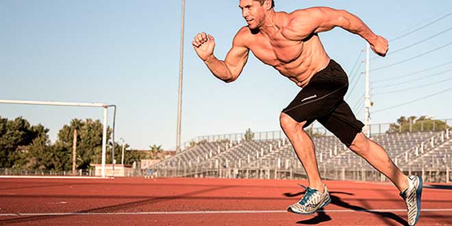 Routines d’entraînement : Guides étape par étape et conseils