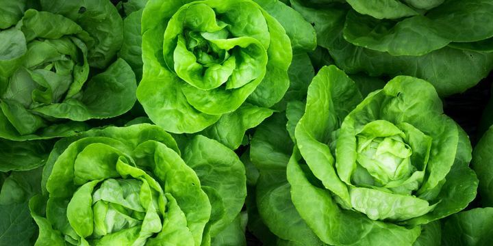 Vitamine A - Propriétés et Avantages | HSN