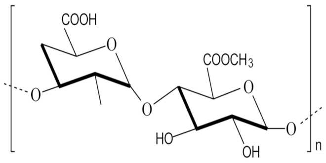 Chitosan - Avantages du chitosan et perte de poids | HSN