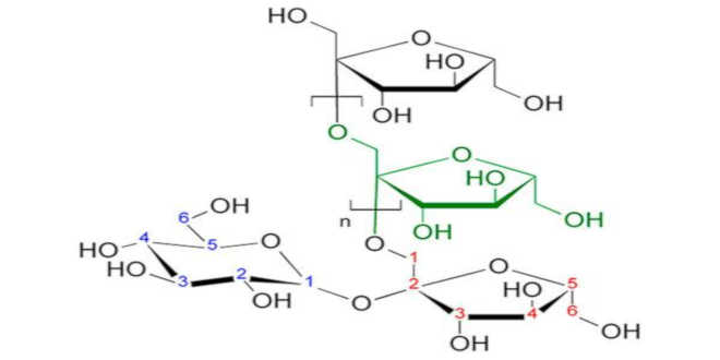 Inuline: Avantages pour la santé intestinale | HSN