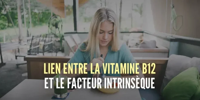 Qu'est-ce que le facteur intrinsèque et son lien avec la vitamine B12