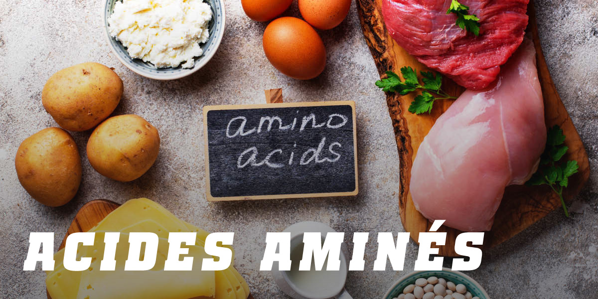 Acides aminés: Infos sur les BCAAs et leurs bienfaits | HSN