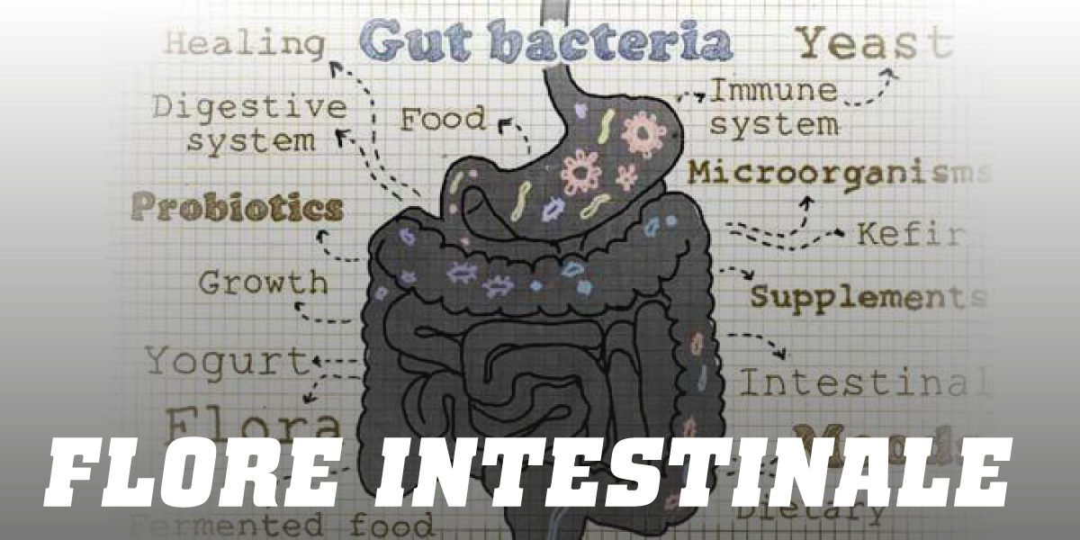 Pour la Flore Intestinale: Conseils pratiques | HSN