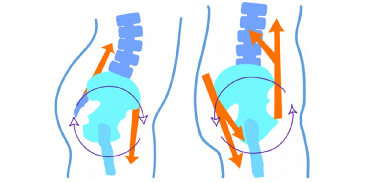 Hollow Body Hold: Comment le faire correctement? | HSN
