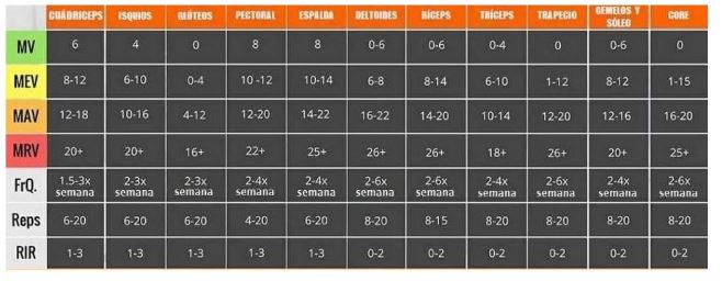 Musculation pour les Débutants - Connaître les Bases