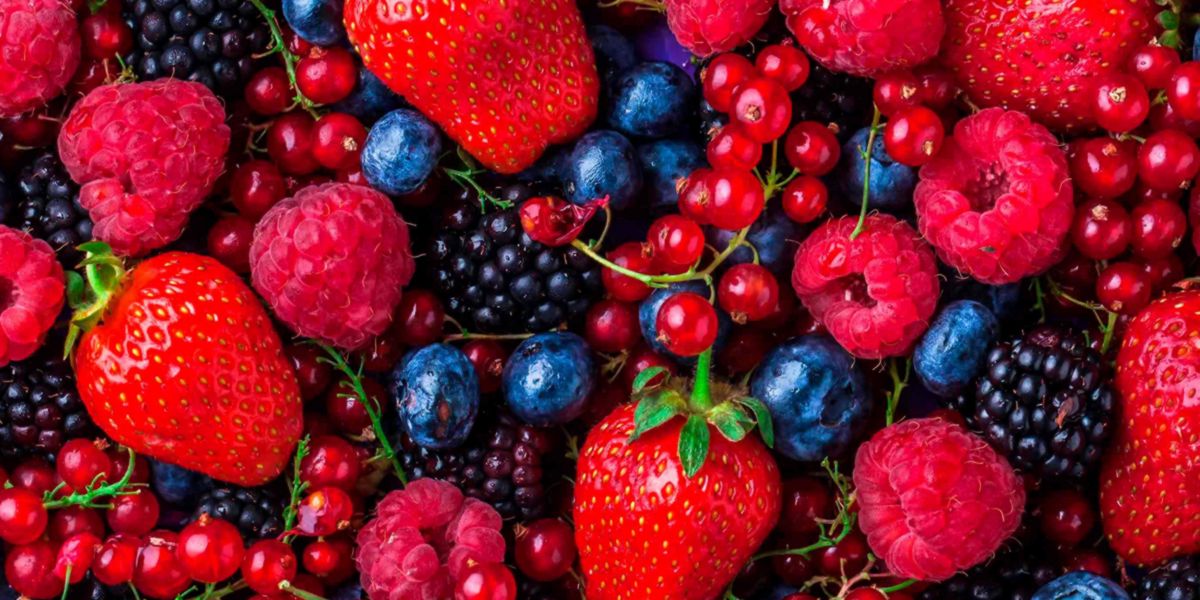 Liste des aliments avec oméga-3 (animale et végétale) | HSN