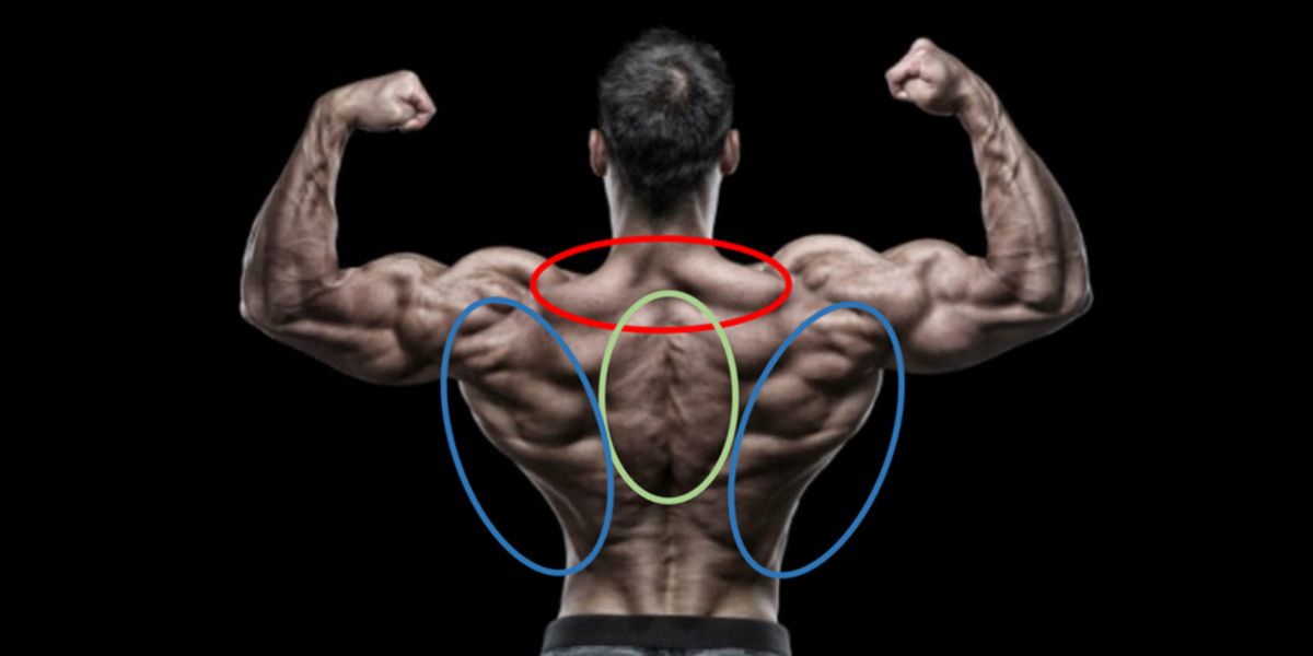 Exercices pour le dos: obtenez la taille dont vous rêvez!