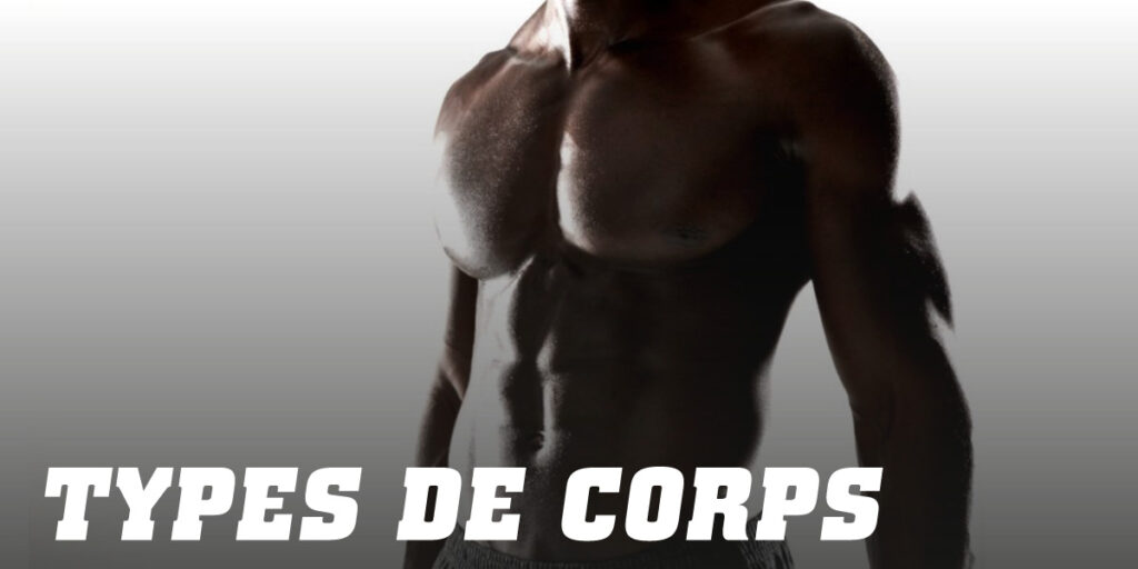 Types de corps: Ectomorphe, Mésomorphe et Endomorphe
