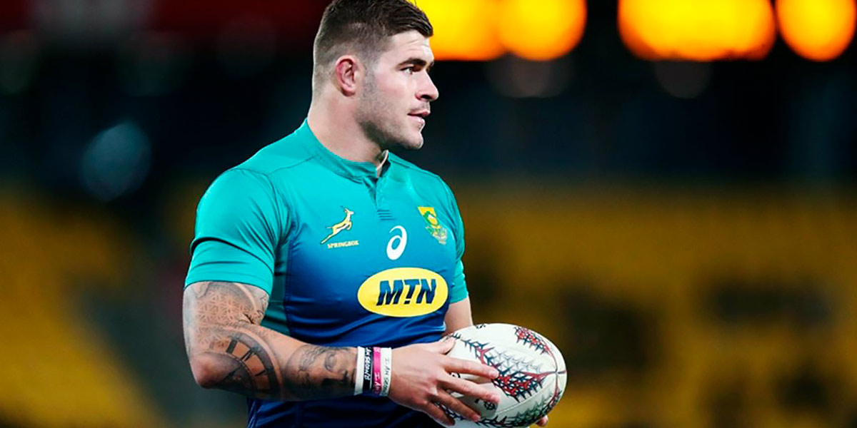 Types de corps: Ectomorphe, Mésomorphe et Endomorphe