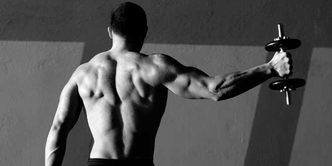 De quoi dépend la Force : Facteurs Musculaires et Nerveux | HSN