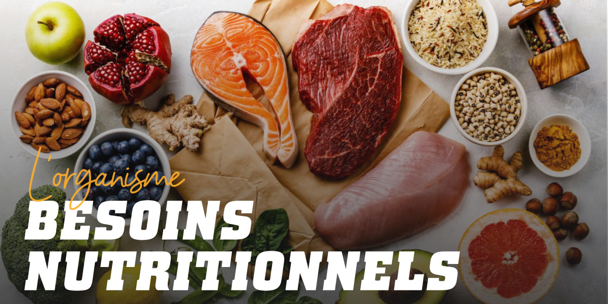 Besoins nutritionnels de l'organisme | HSN