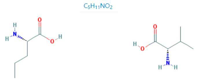 Norvaline : Stimulateur d'Oxyde Nitrique